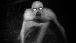 Creepypasta: A Guide to Horror Stories in the Digital Age